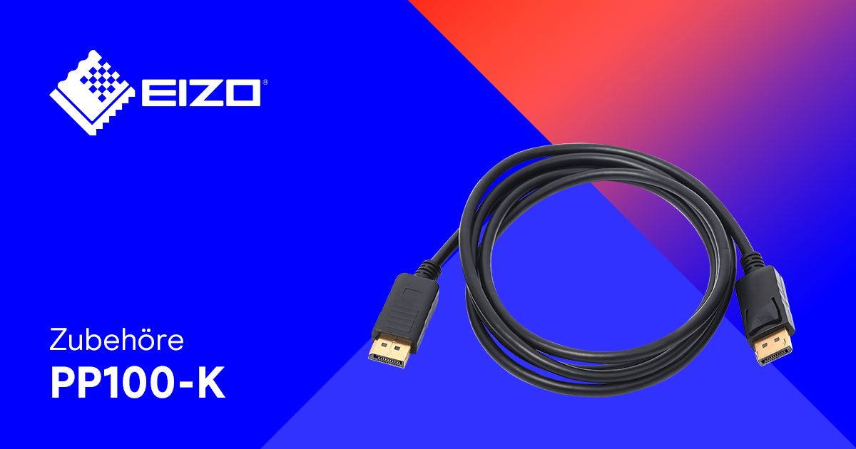 EIZO Câble de raccordement DisplayPort d'une longueur de 100 cm